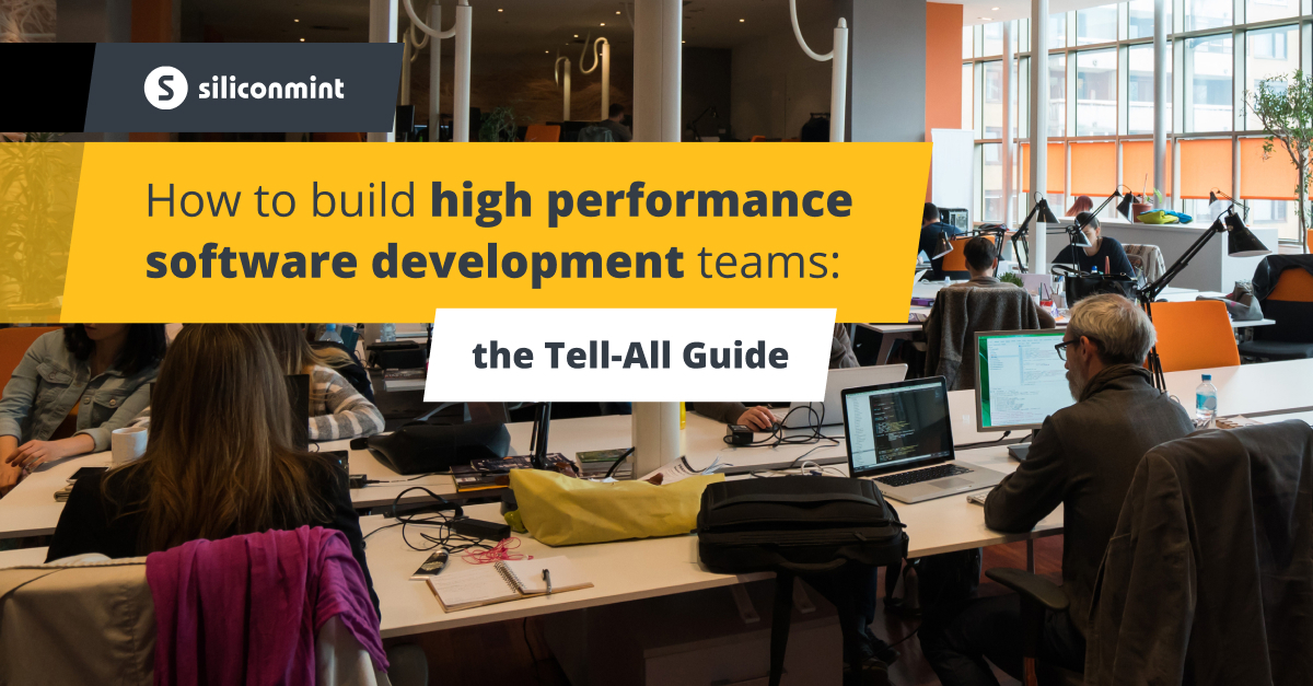 Dedicated Software Development Teams: the Tell-All Guide