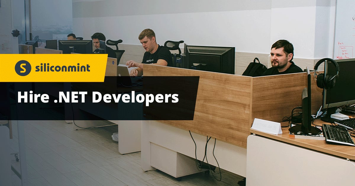 Hire .NET Developers | SiliconMint