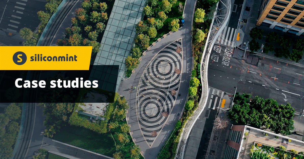 Verizon Case Study | SiliconMint